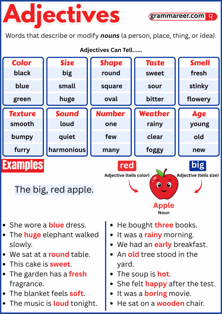 Adjectives: Definition, Types, Examples, and Complete List