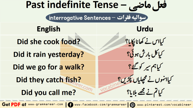 Past Indefinite Tense in Urdu with Examples PDF - Grammareer