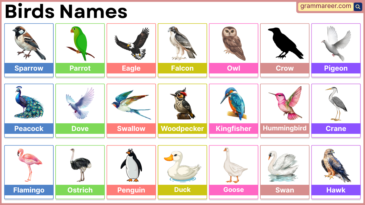 Images Of Birds With Names