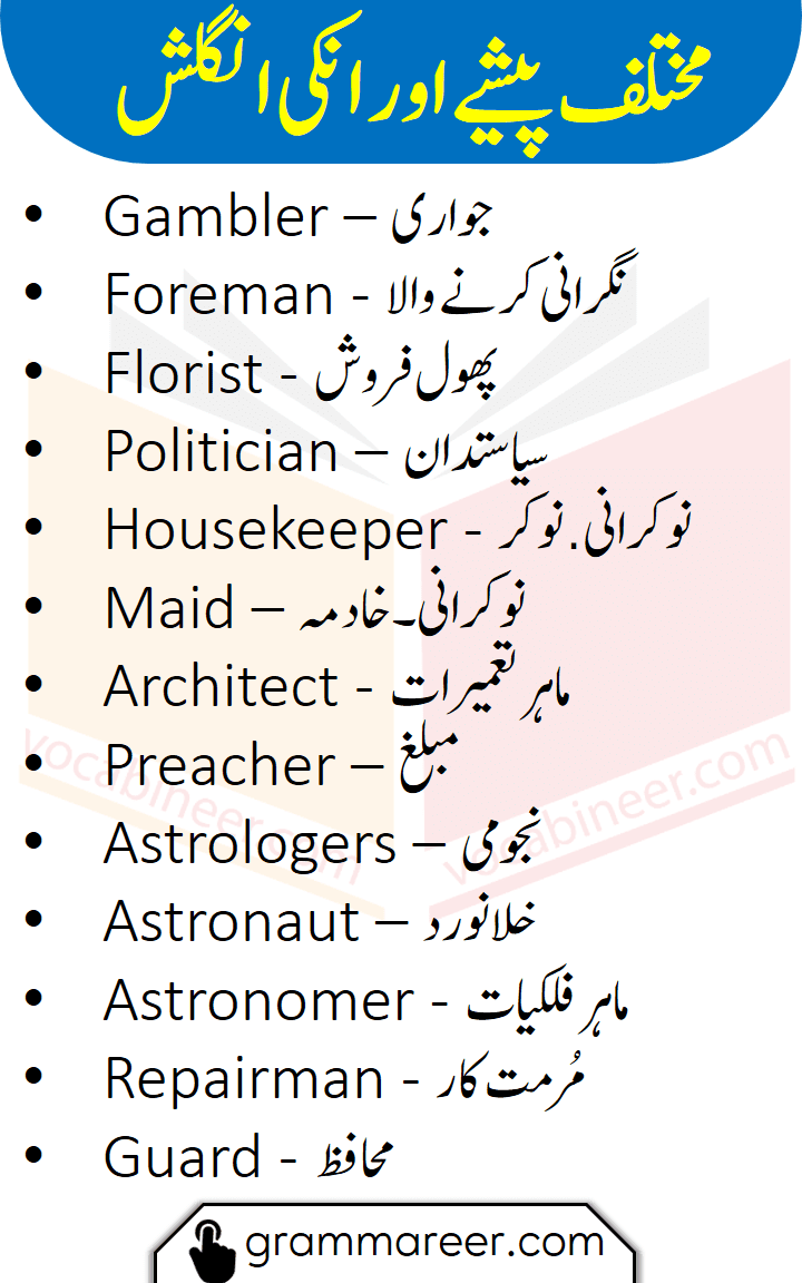 Professions Vocabulary in English and with Urdu Meanings - Grammareer