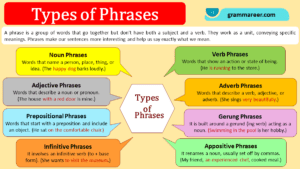 Types of Phrases in English with Examples - Grammareer