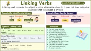 Linking Verbs in English with Example Sentences - Grammareer