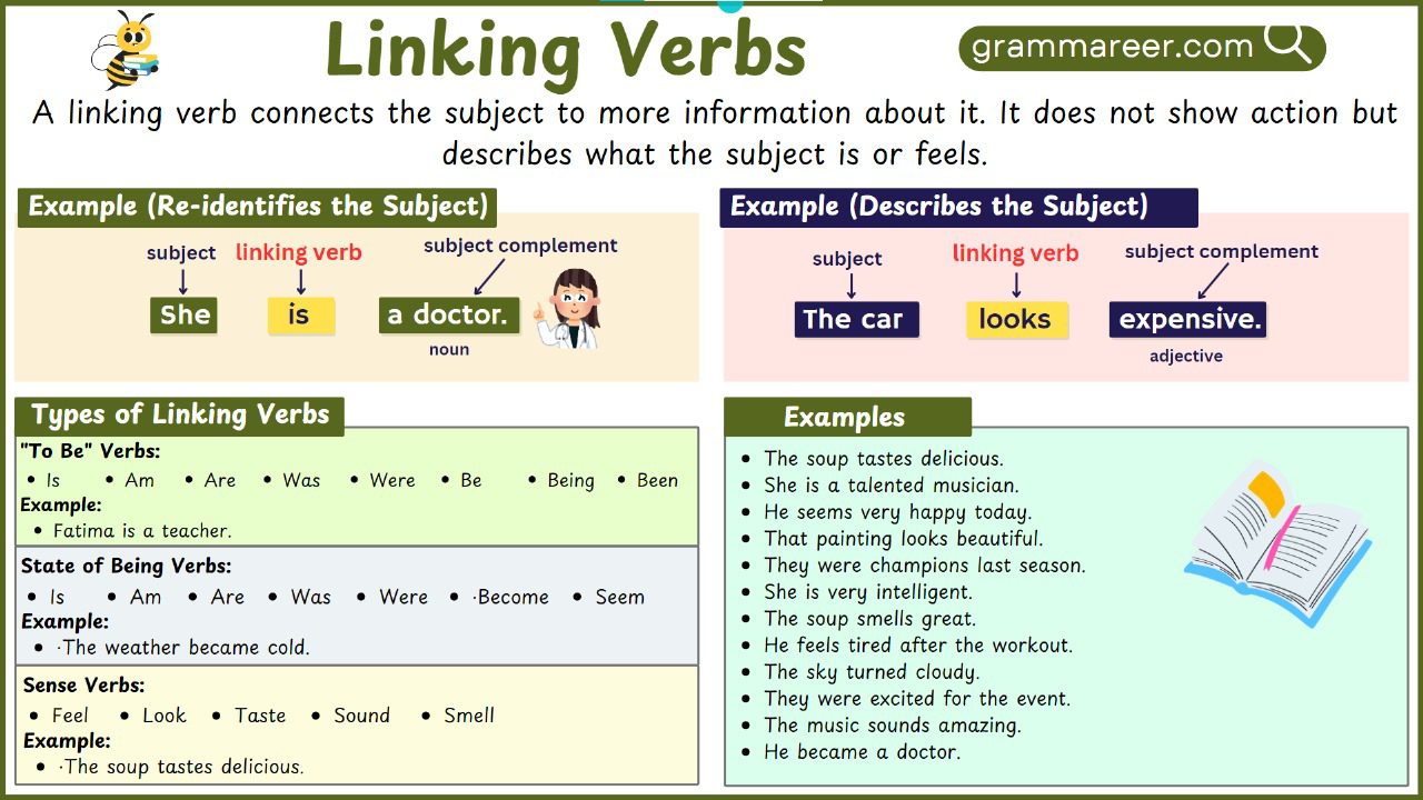 Linking Verbs in English with Example Sentences - Grammareer