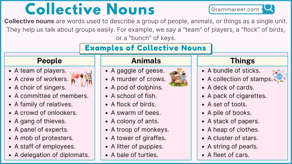Collective Nouns in English with Examples - Grammareer