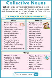 Collective Nouns in English with Examples - Grammareer