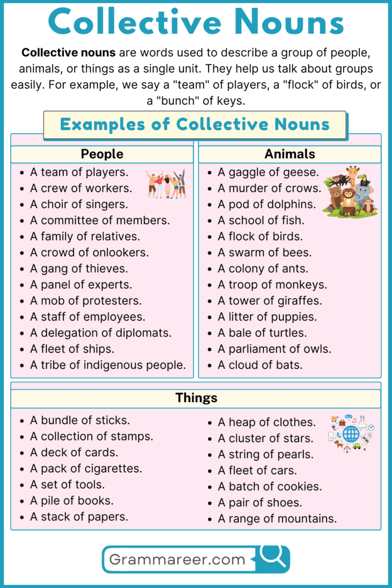 Collective Nouns in English with Examples - Grammareer