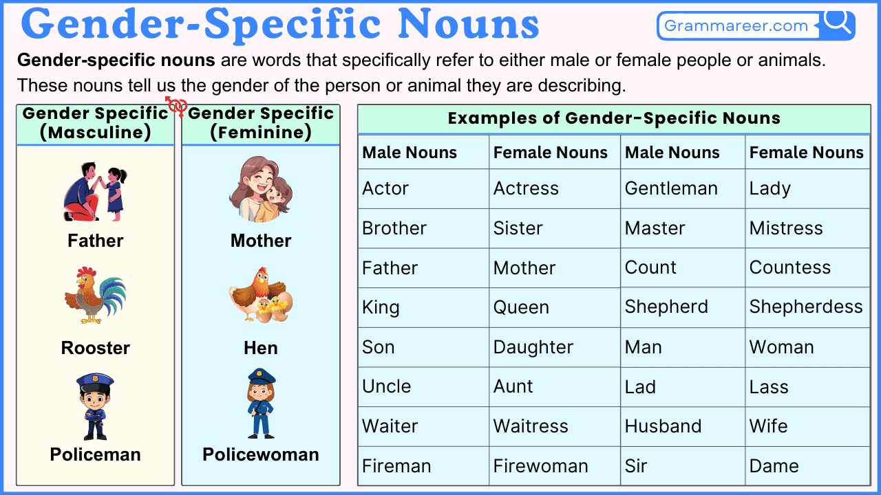 Gender Specific Nouns in English with Examples - Grammareer