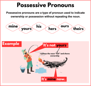 What are Possessive Pronouns: Definition and Examples - Grammareer