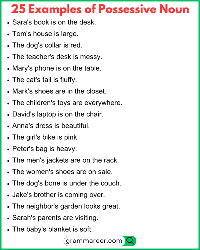Possessive Noun: Definition, Types, Usages and Examples
