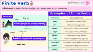 Finite Verbs: Definition, Explanation with Examples