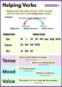 Helping Verb: Definition, Types and Explanation with Examples
