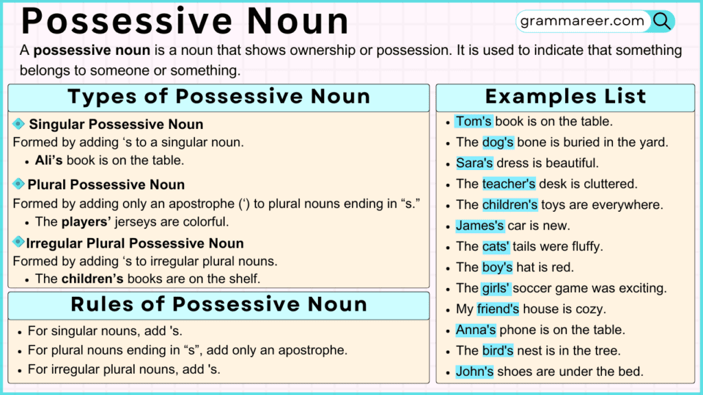 Possessive Noun: Definition, Types, Usages and Examples