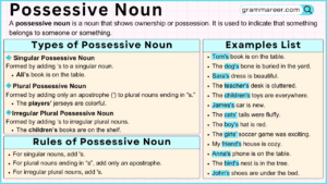 Possessive Noun: Definition, Types, Usages and Examples