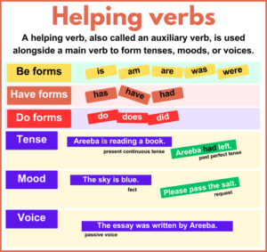 Helping Verb: Definition, Types and Explanation with Examples