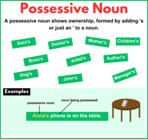Possessive Noun: Definition, Types, Usages and Examples