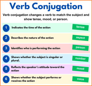Verb Conjugation: Definition, Explanation and Examples