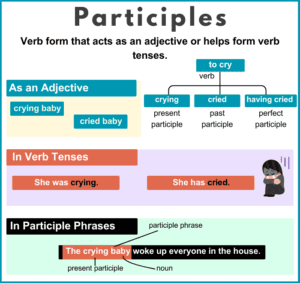Participles: Definition and Explanation with Examples