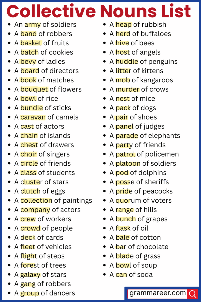 100 Collective Nouns List for People, Animals, and Objects