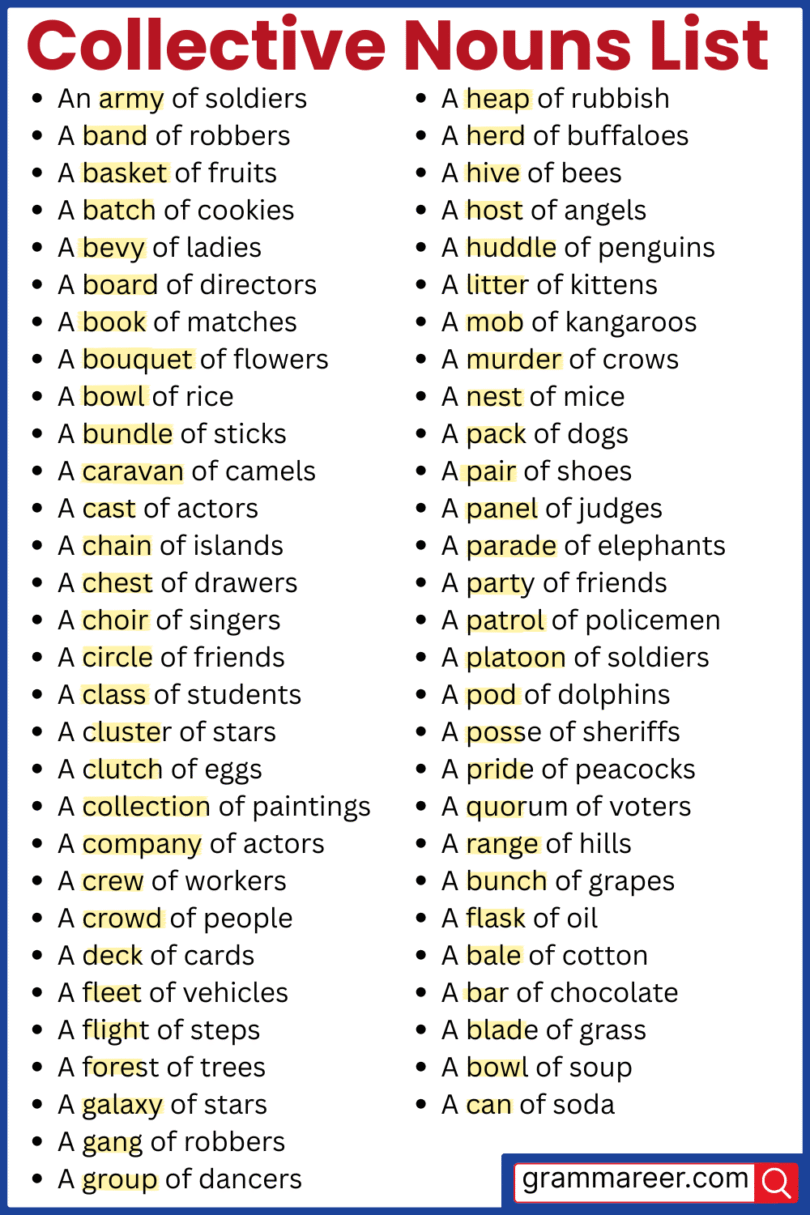 100 Collective Nouns List for People, Animals, and Objects