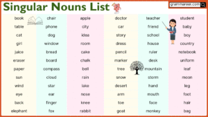 150 Common Singular Nouns List in English with Examples - Grammareer