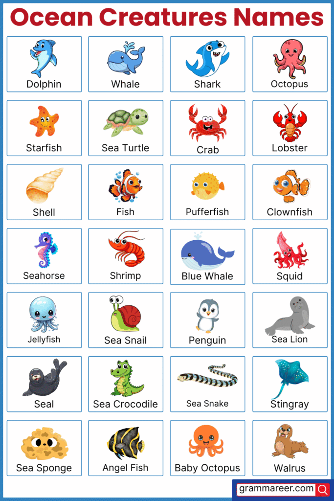 100 Sea Animals Names in English with Pictures - Grammareer