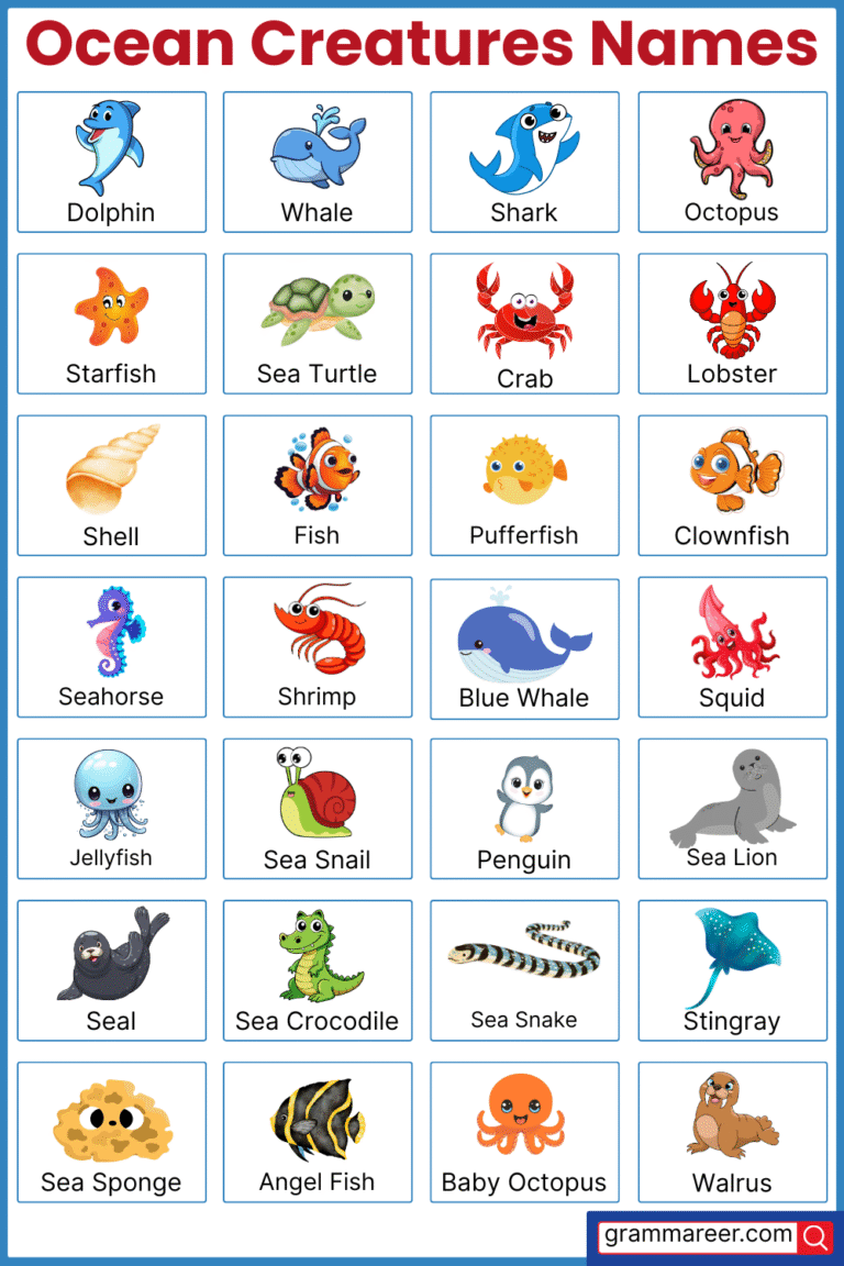 100 Sea Animals Names in English with Pictures - Grammareer