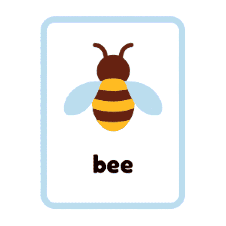 100 Types of Insects Names with Their Pictures: Full List - Grammareer