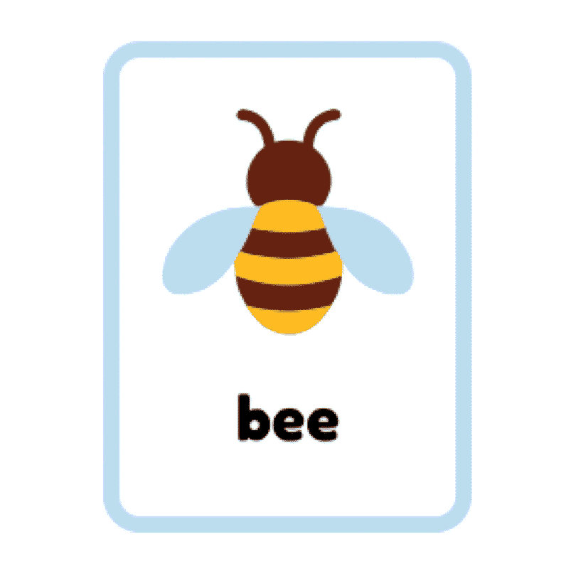 100 Types of Insects Names with Their Pictures: Full List - Grammareer