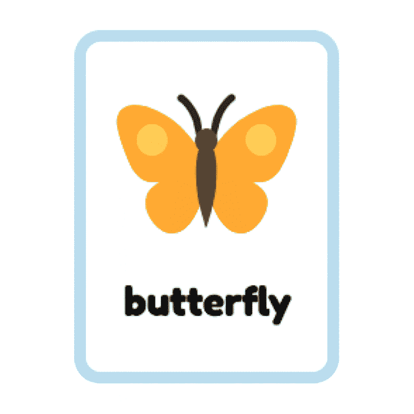 100 Types of Insects Names with Their Pictures: Full List - Grammareer