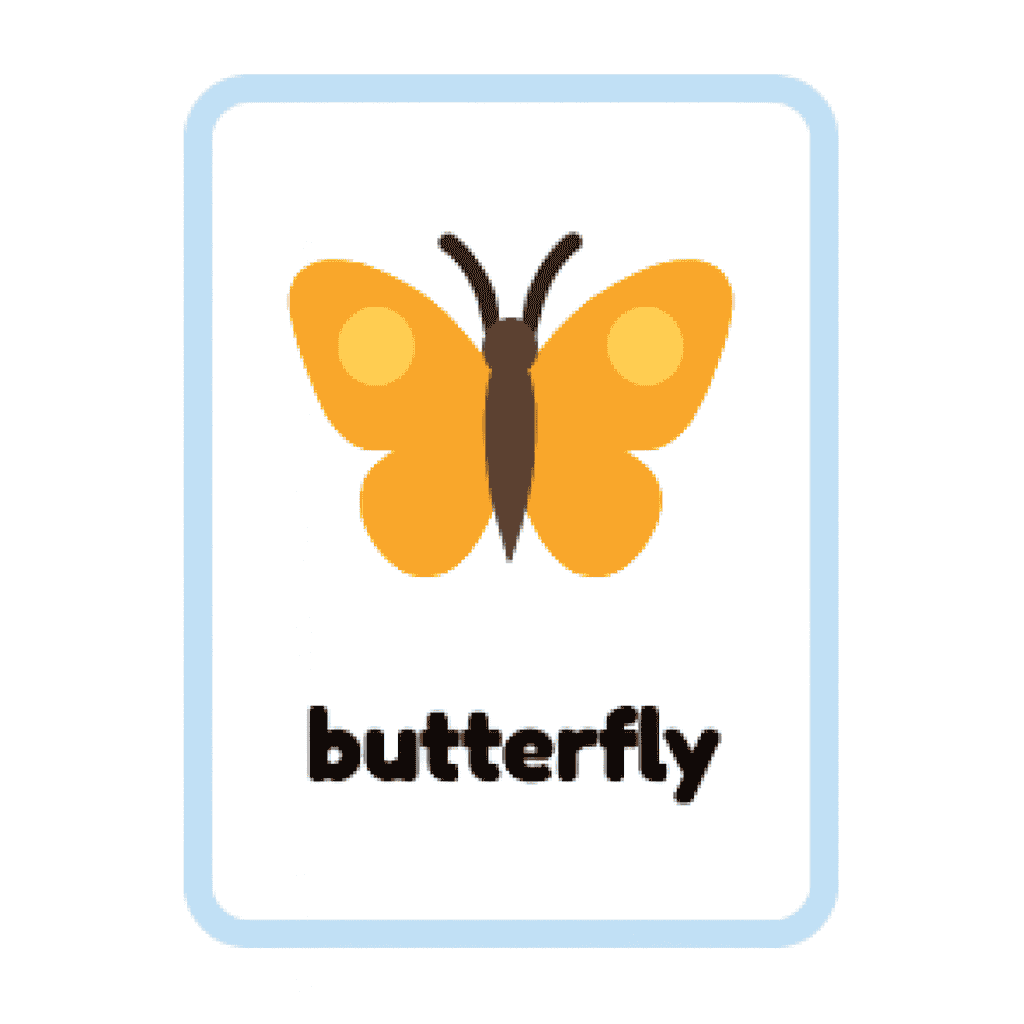 100 Types of Insects Names with Their Pictures: Full List - Grammareer