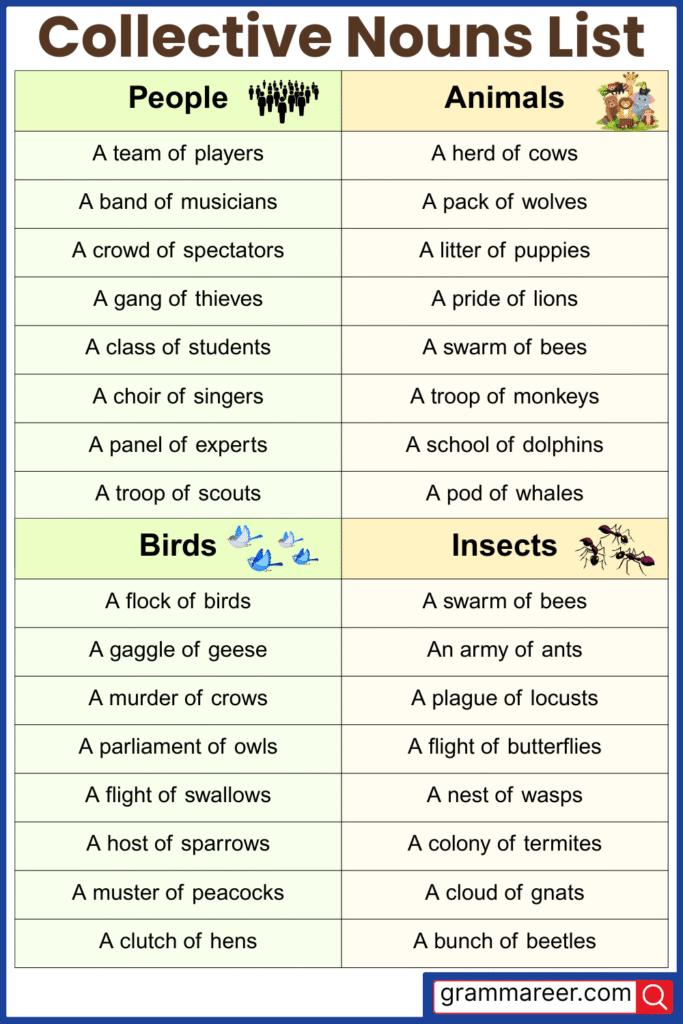 100 Collective Nouns List for People, Animals, and Objects