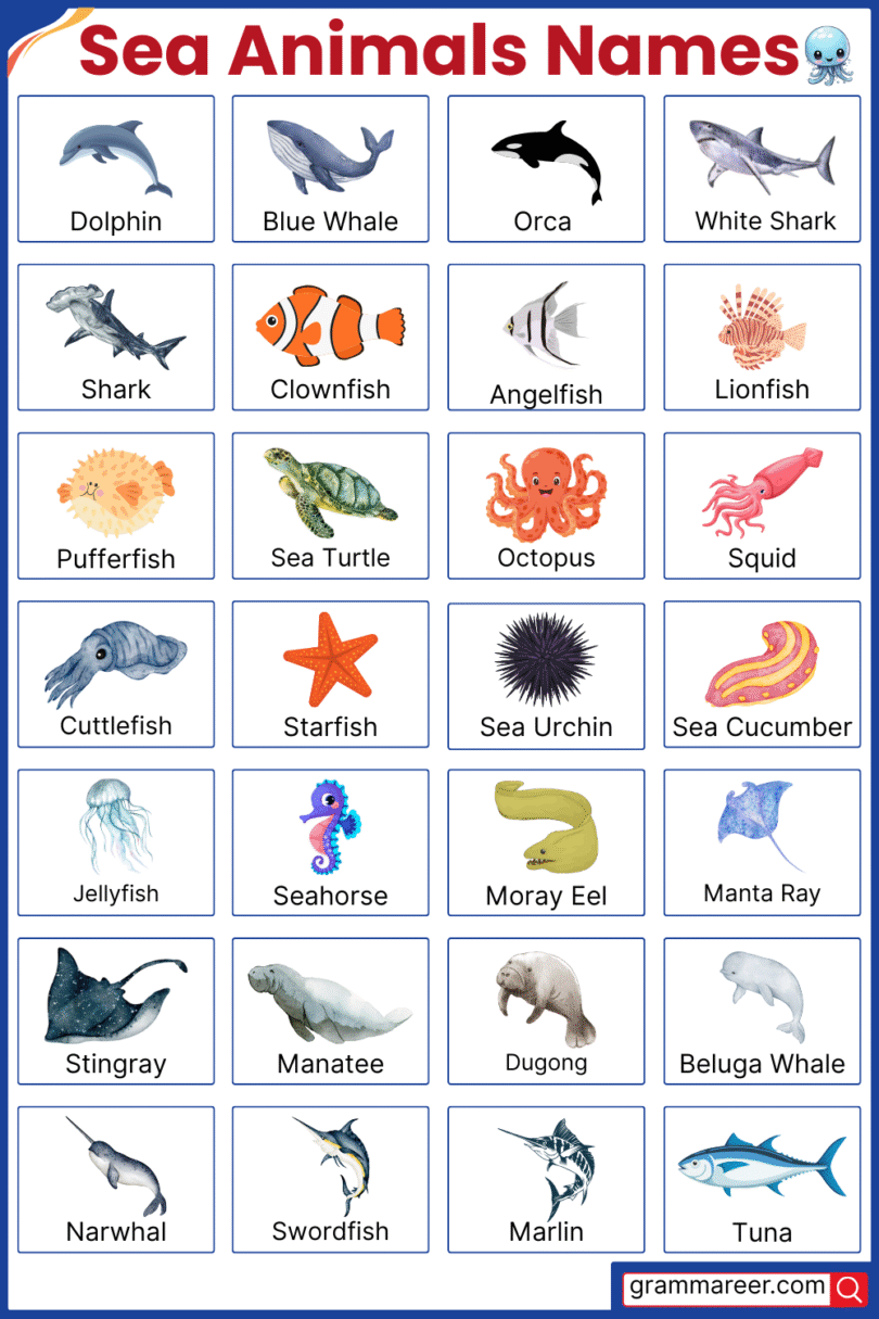 100 Sea Animals Names in English with Pictures - Grammareer