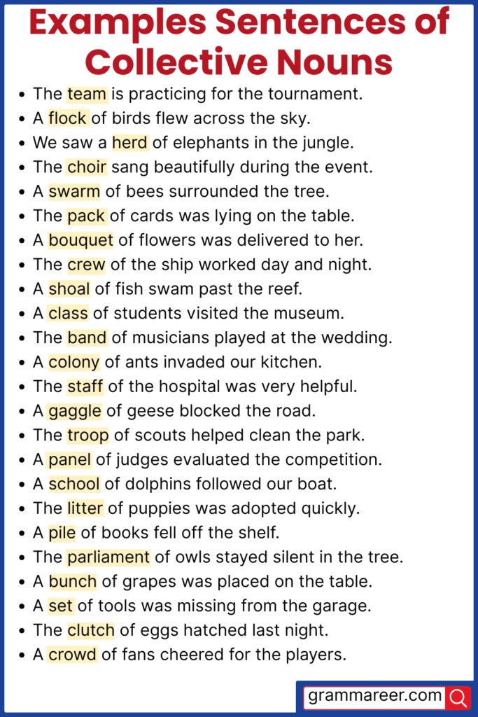 100 Collective Nouns List for People, Animals, and Objects