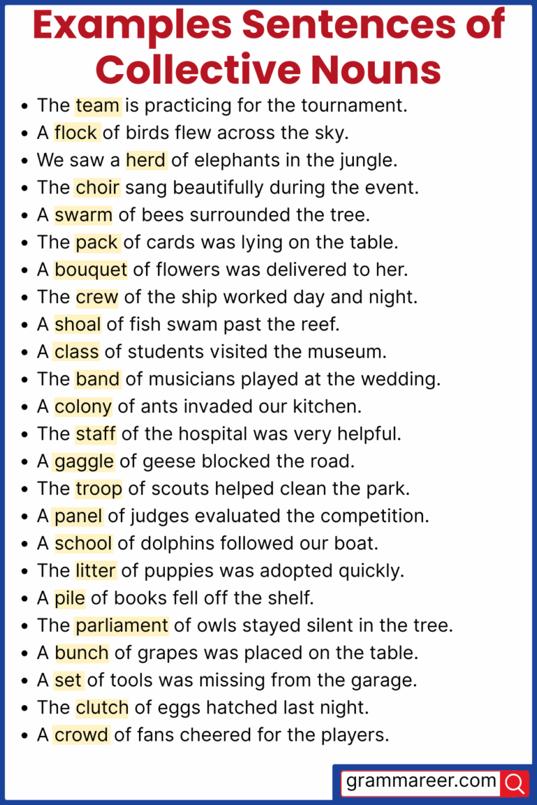 100 Collective Nouns List for People, Animals, and Objects