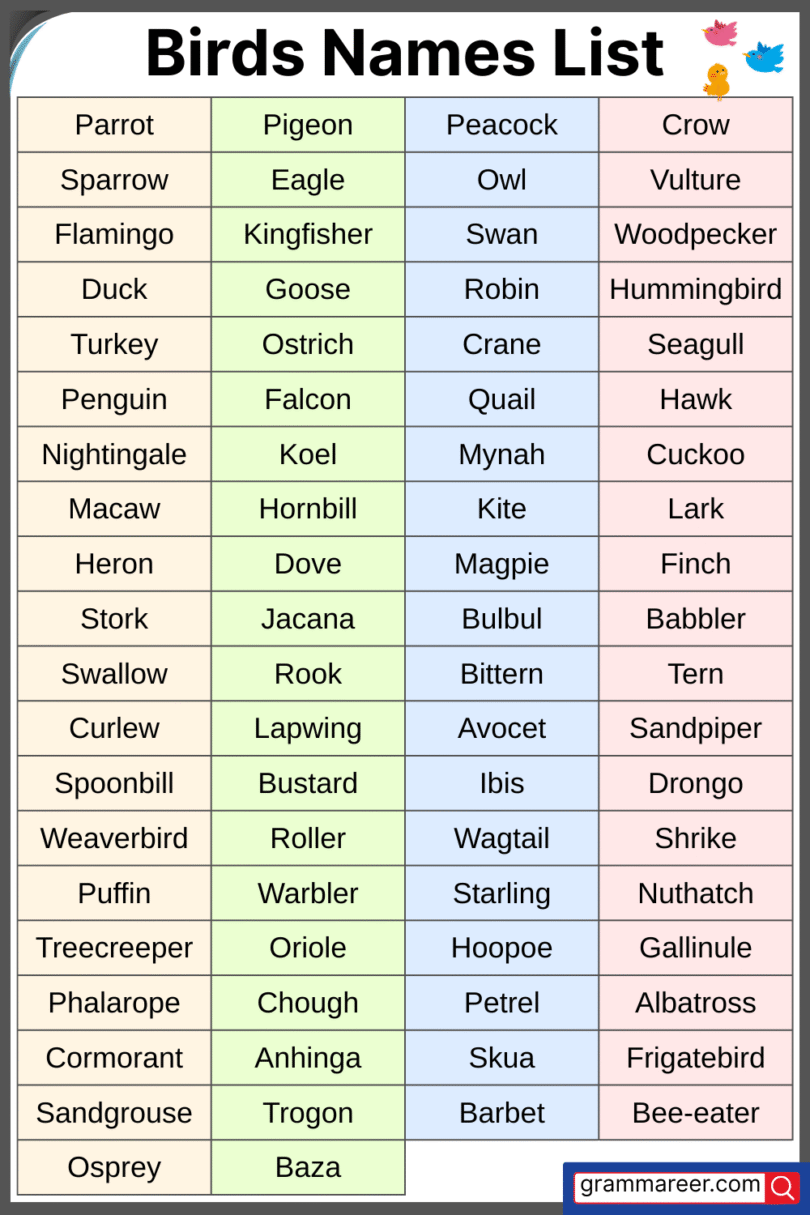 80 Birds Names in English with Pictures - List of Birds Vocabulary