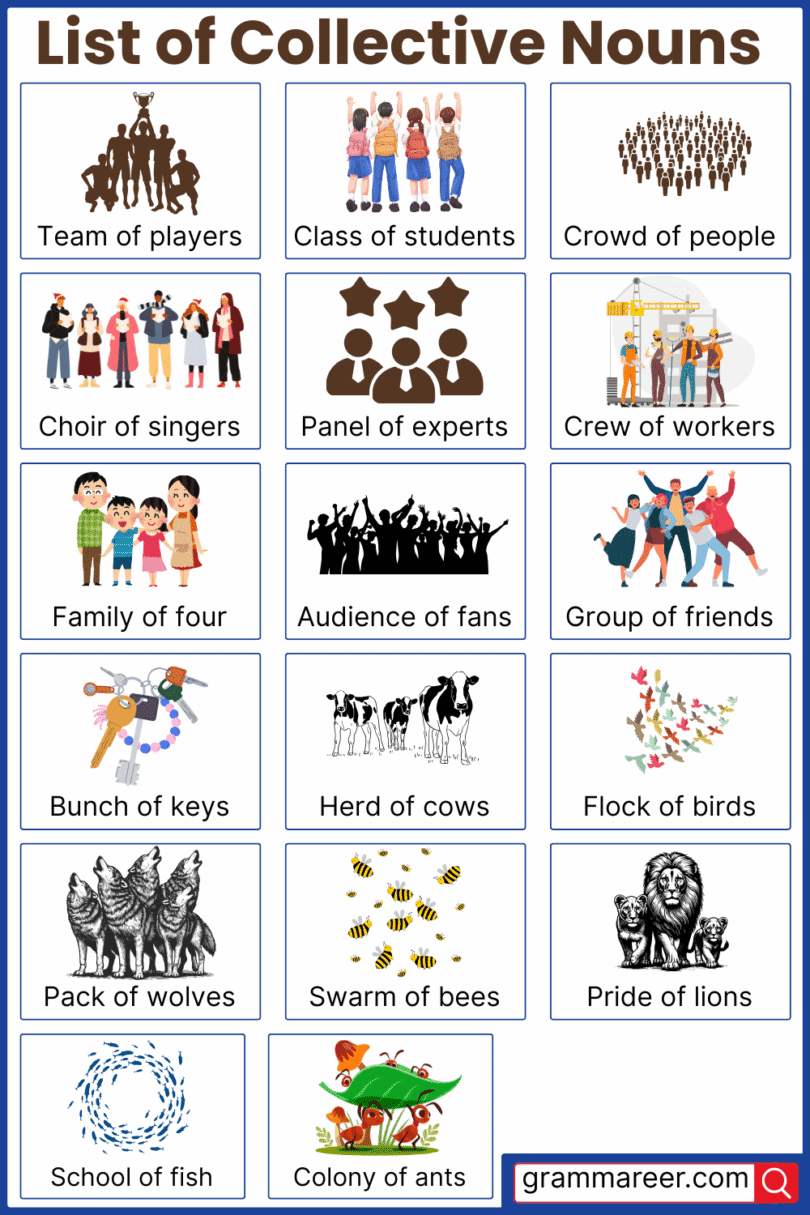 100 Collective Nouns List for People, Animals, and Objects