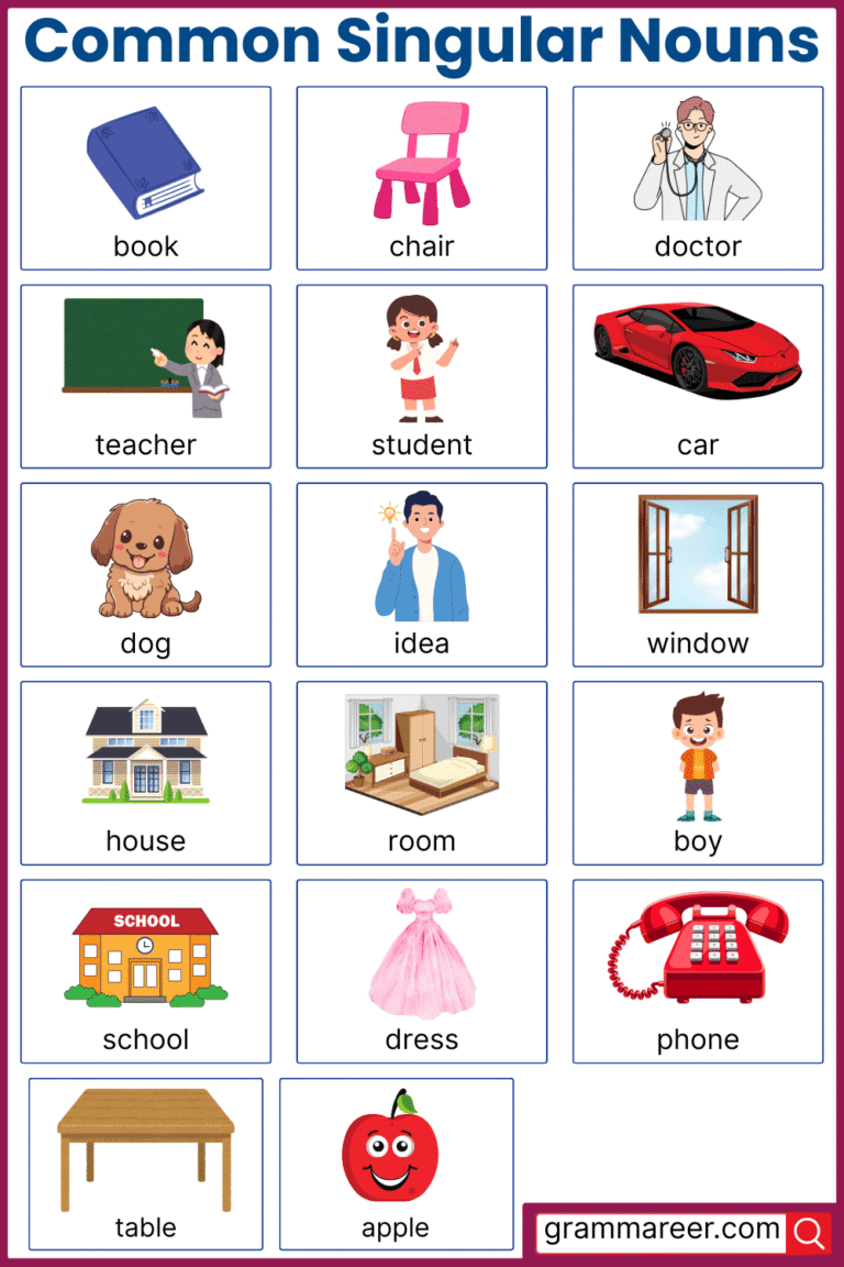 150 Common Singular Nouns List in English with Examples - Grammareer