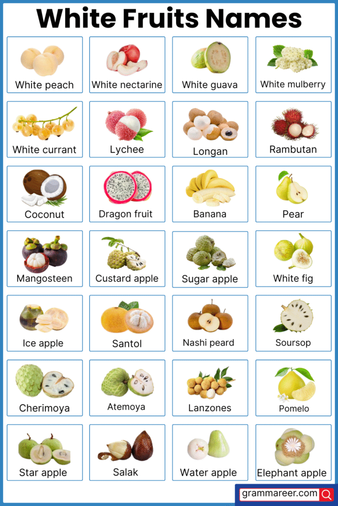 White Fruits Names in English List with Pictures