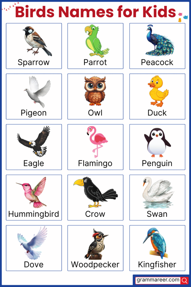 80 Birds Names in English with Pictures - List of Birds Vocabulary