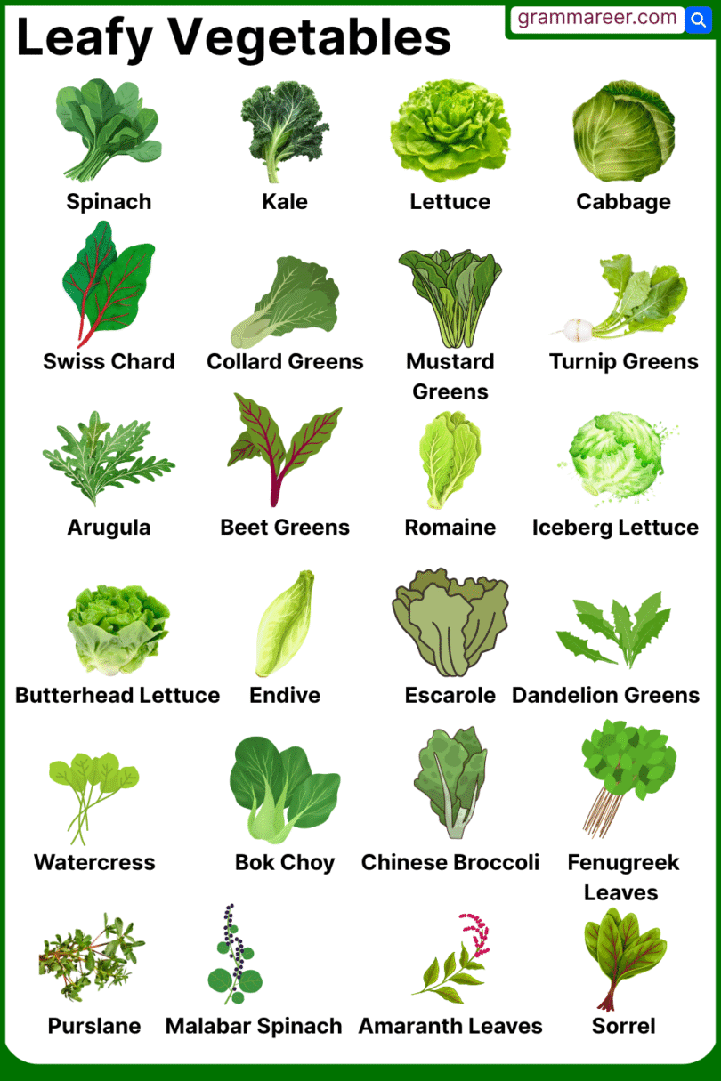 Leafy Vegetables List: 50 Names with Uses, Benefits and Images - Grammareer
