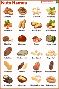 99 Nuts Names full List in English included Pictures - Grammareer