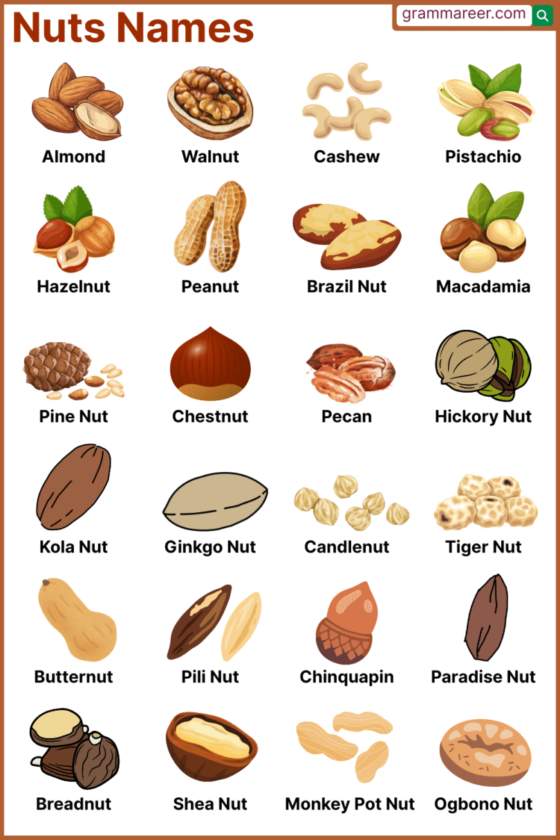 99 Nuts Names full List in English included Pictures - Grammareer