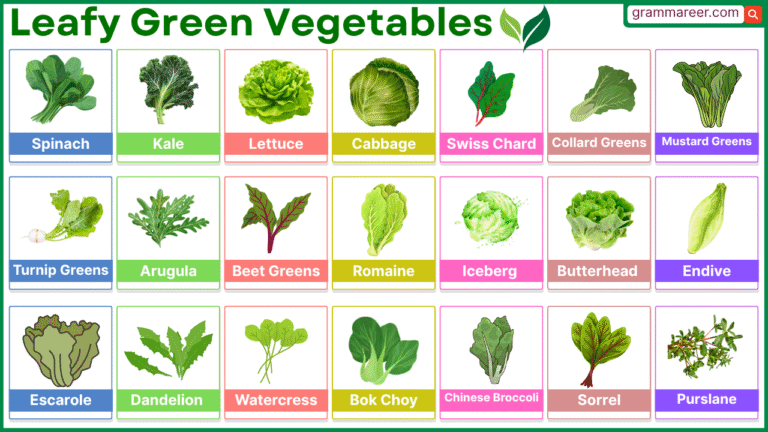 Leafy Vegetables List: 50 Names with Uses, Benefits and Images - Grammareer
