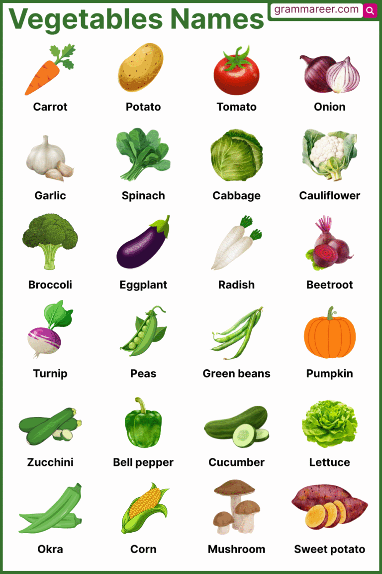 Vegetables Names in English with Pictures and List - Grammareer