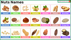 99 Nuts Names full List in English included Pictures - Grammareer