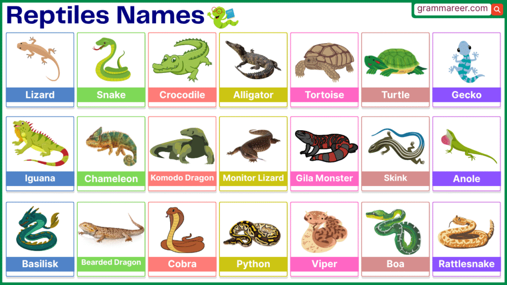 100 Reptiles Names by Type and Habitat in English with Pictures ...