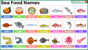 50 Seafood Names in English with Full List and Pictures - Grammareer