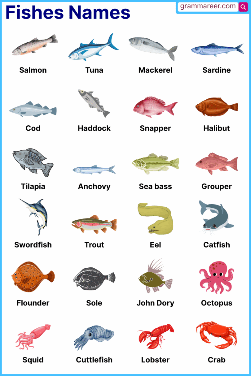 Types of Fish Names in English with Pictures - Grammareer