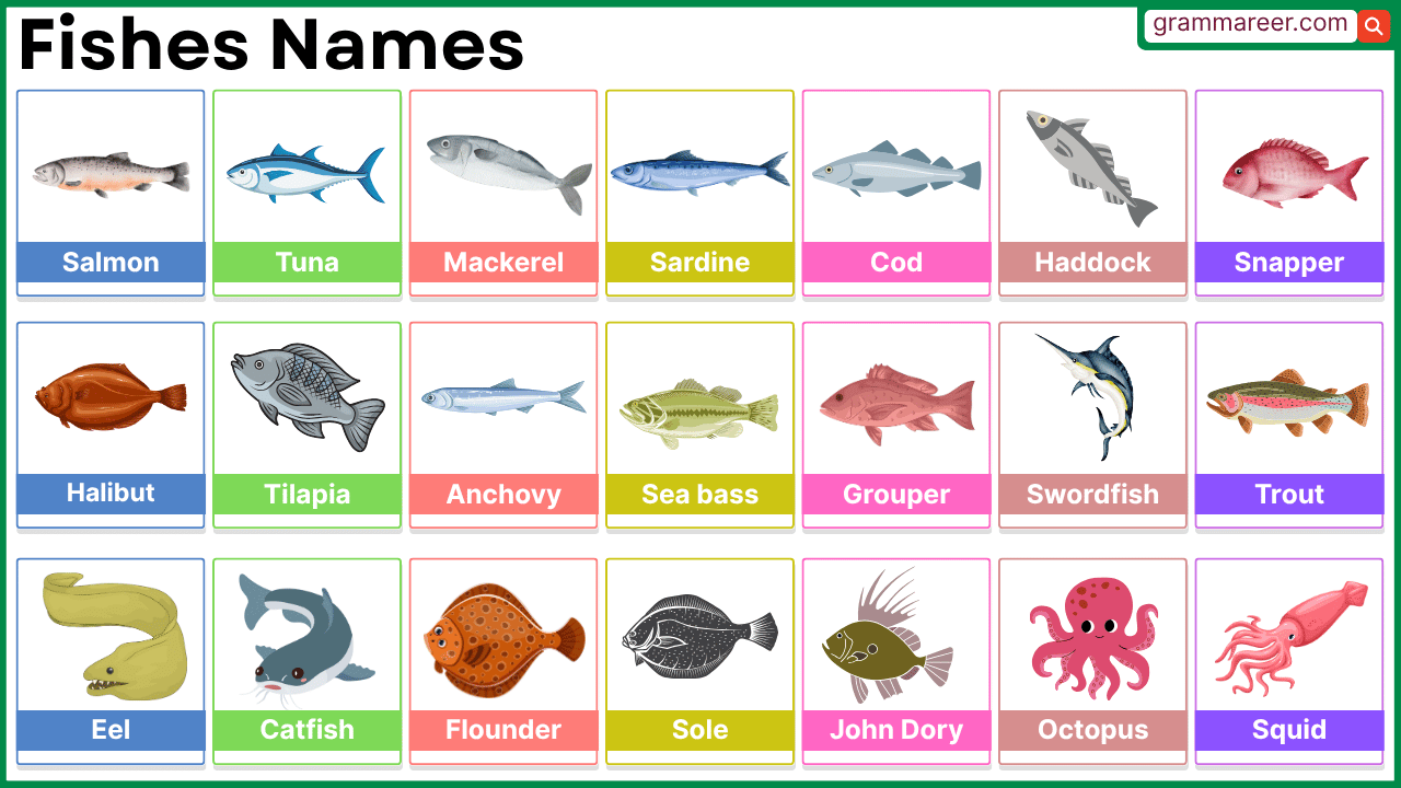 Types of Fish Names in English with Pictures - Grammareer