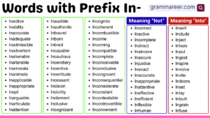 Words with Prefix of in: Full List and Meaning in English - Grammareer